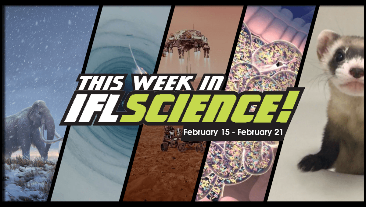 This Week In IFLScience! | IFLScience