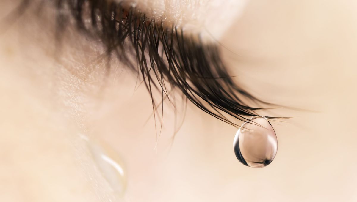 Scientists Create Artificial Tear Glands That Can Cry Real Tears ...