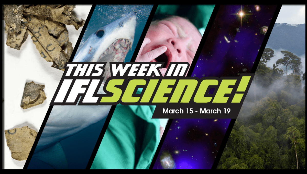 This Week In Science! | IFLScience