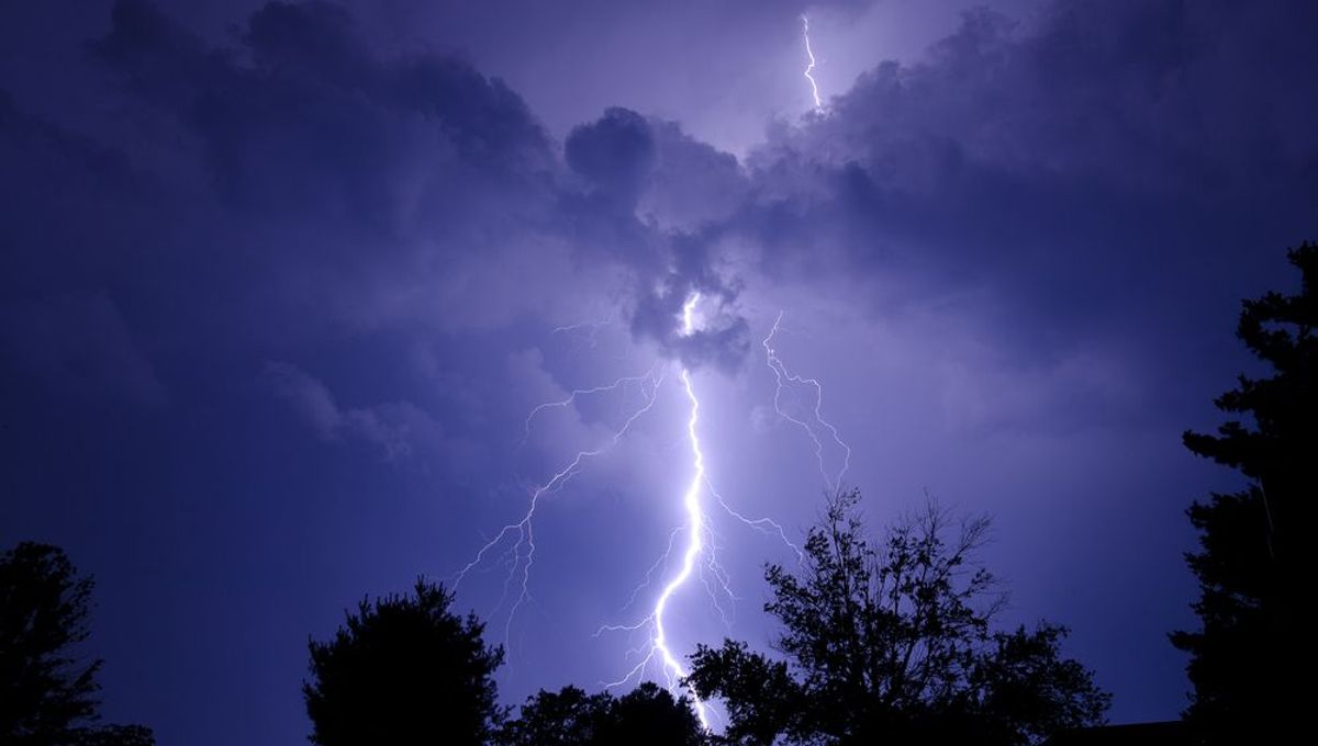 Incredible Video Shows A Lightning Bolt Absolutely Annihilate A Tree ...