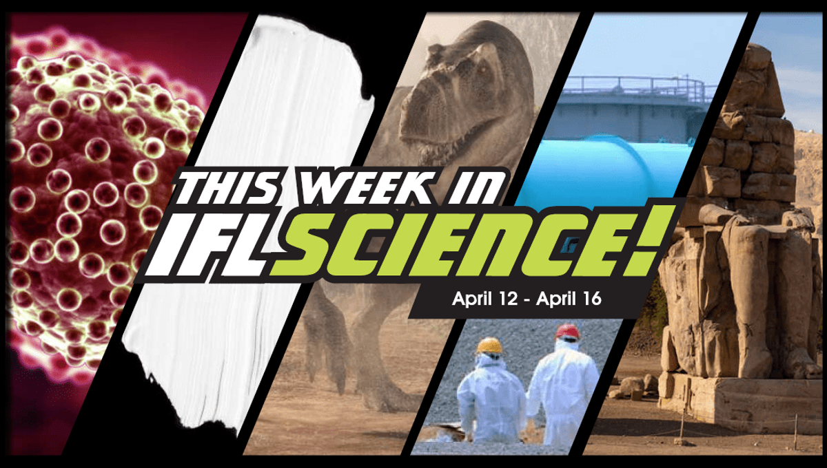 This Week In Science! | IFLScience