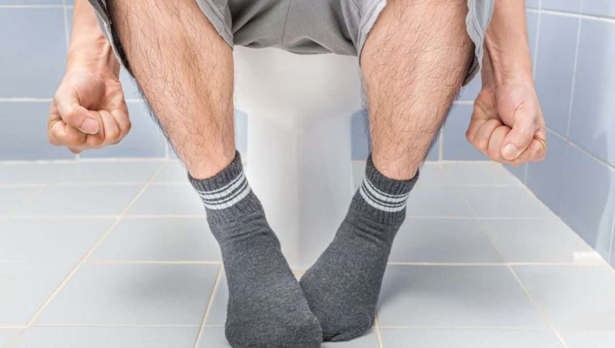 Smart Toilet Could Photograph Your Poop After You Flush To Analyze ...