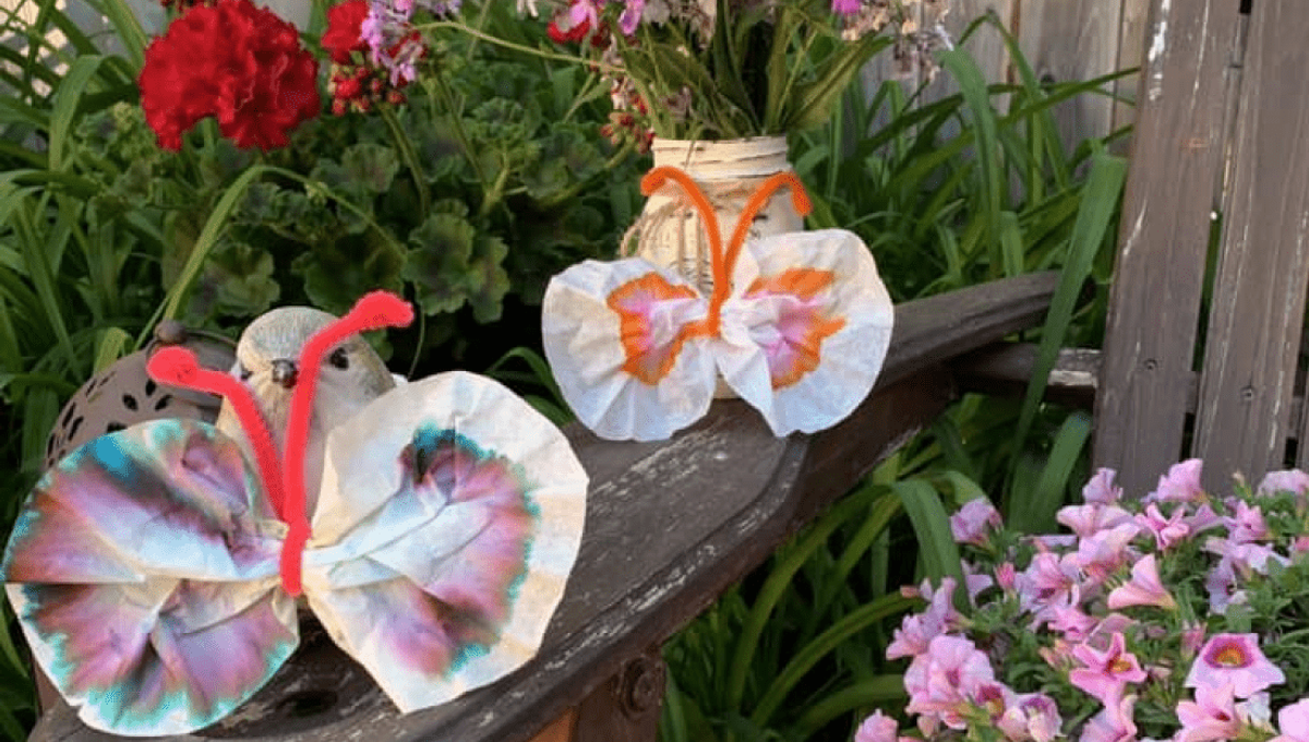 Charity For Adults With Intellectual Disabilities Creates Butterfly ...