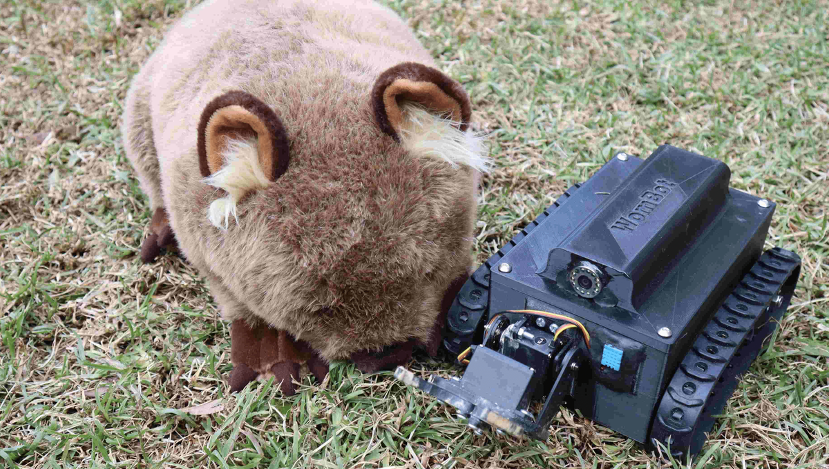 "WomBot" Burrow Explorer Is Here To Save Wombats From An Itchy Death ...