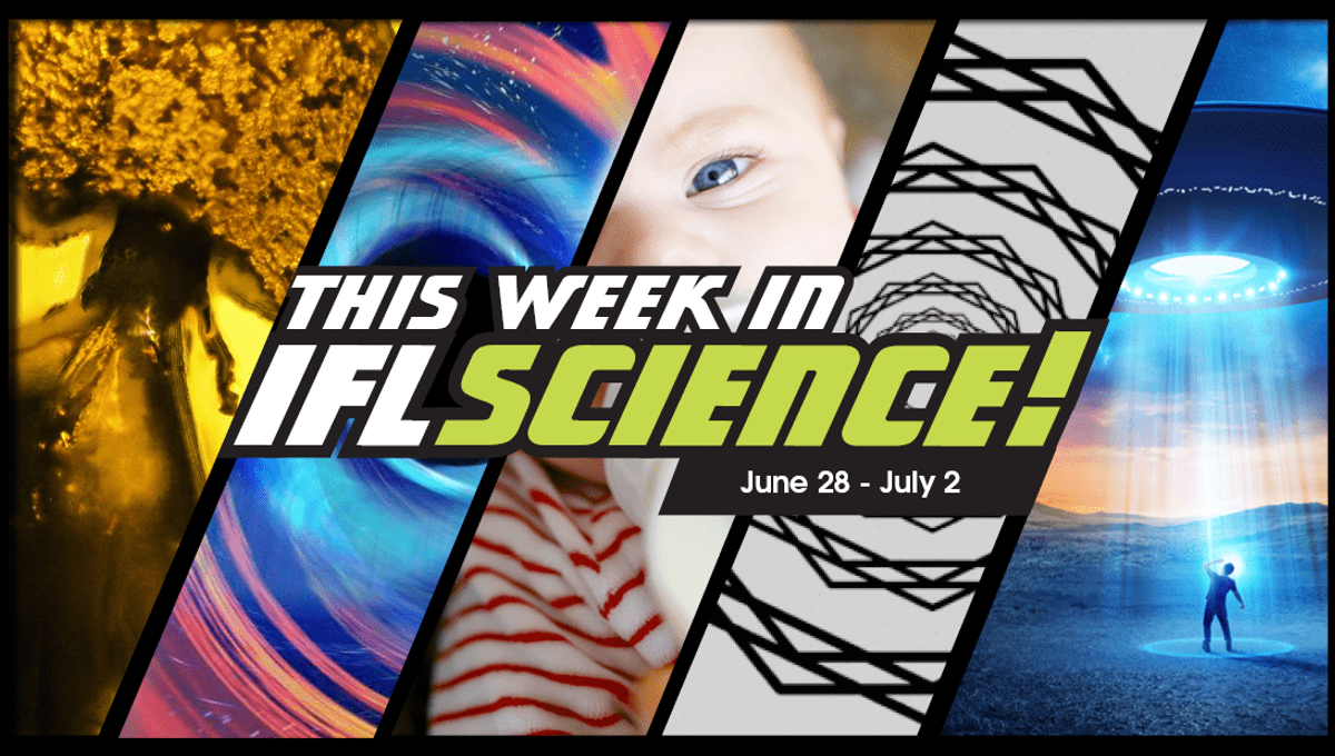 This Week In Science! | IFLScience
