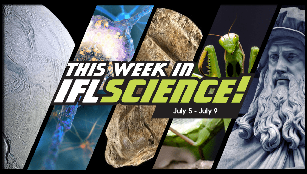 This Week In Science! | IFLScience