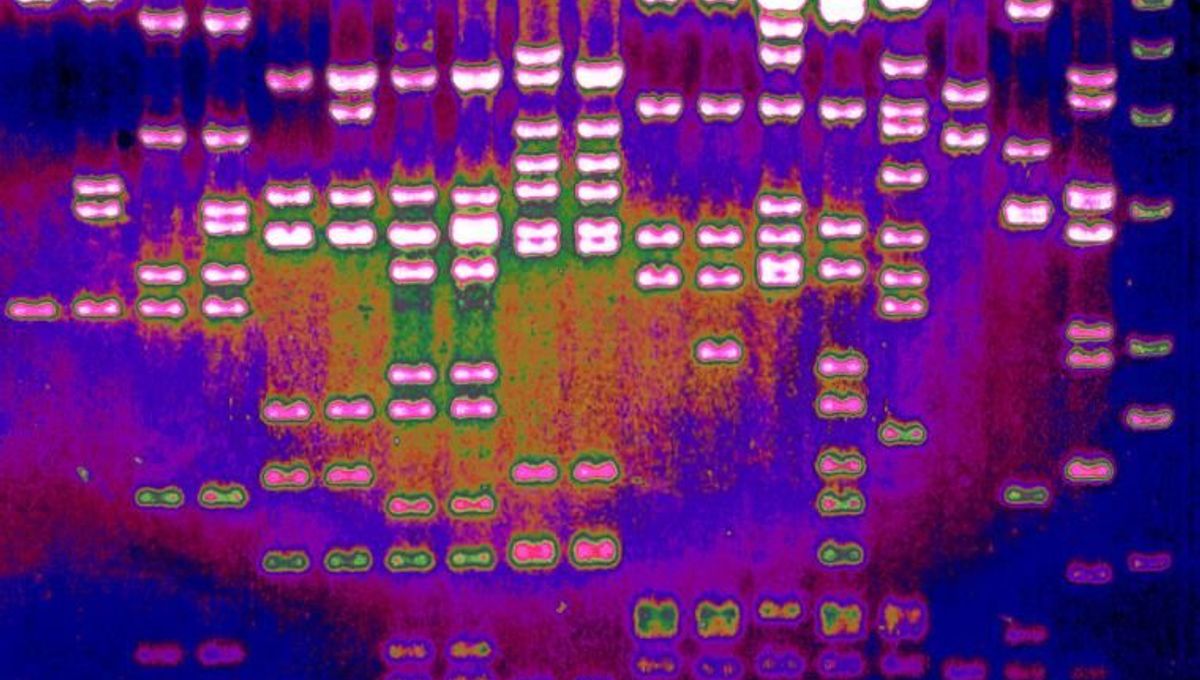 Scientists Recover 15,000-Year-Old Human DNA Just From Dirt | IFLScience