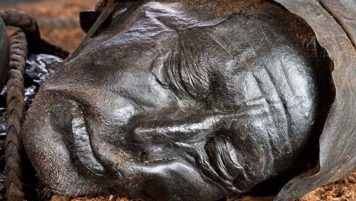 Guts Reveal The Last Meal Of Incredibly Preserved Bog Body From 2 400