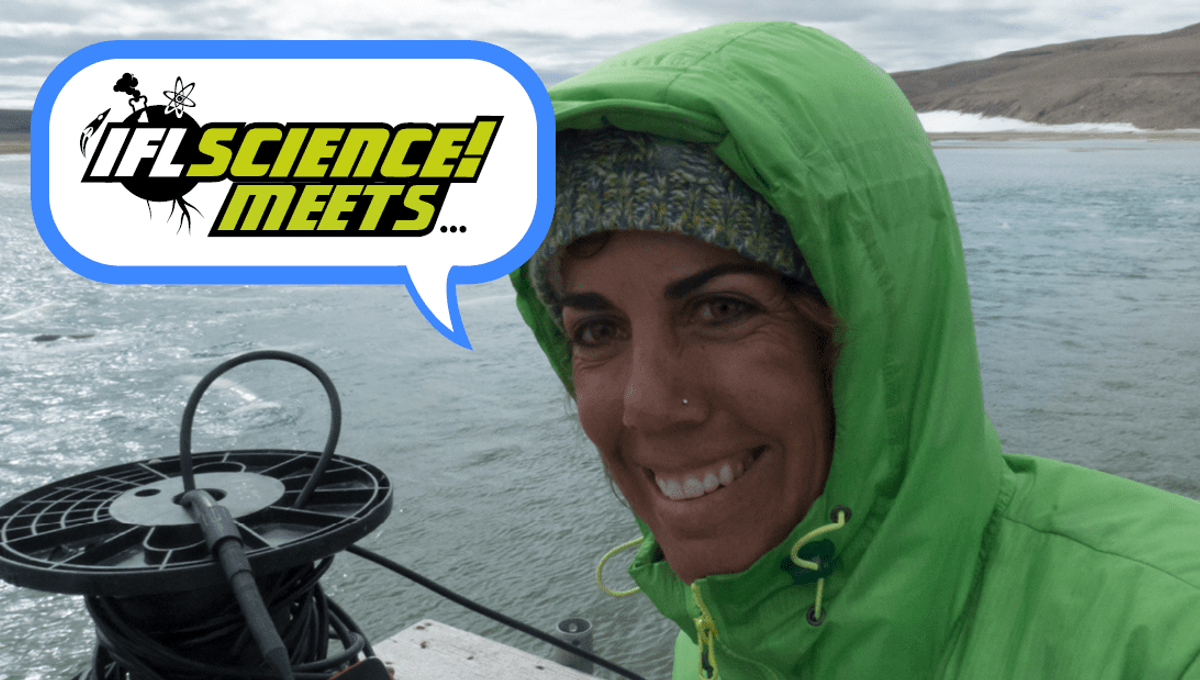 IFLScience Meets: Beluga Expert Dr Valeria Vergara On Translating ...