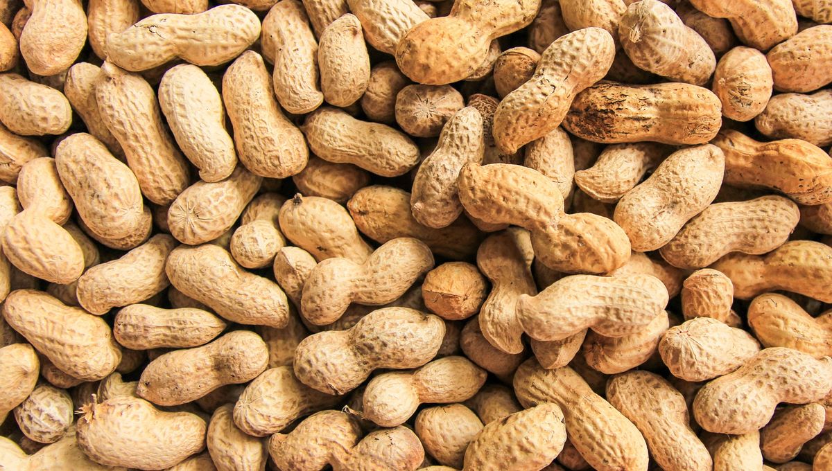 Excessive Peanut Consumption Linked To Increased Cancer Spread Risk In ...