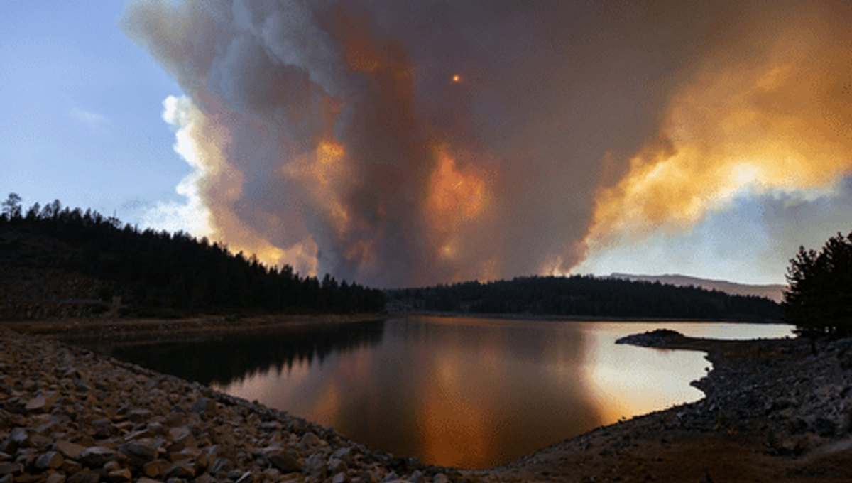 July 2021 Was Earth’s Hottest Month Since Records Began | IFLScience