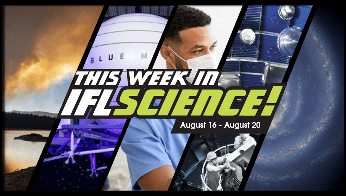 This Week In Science! | IFLScience