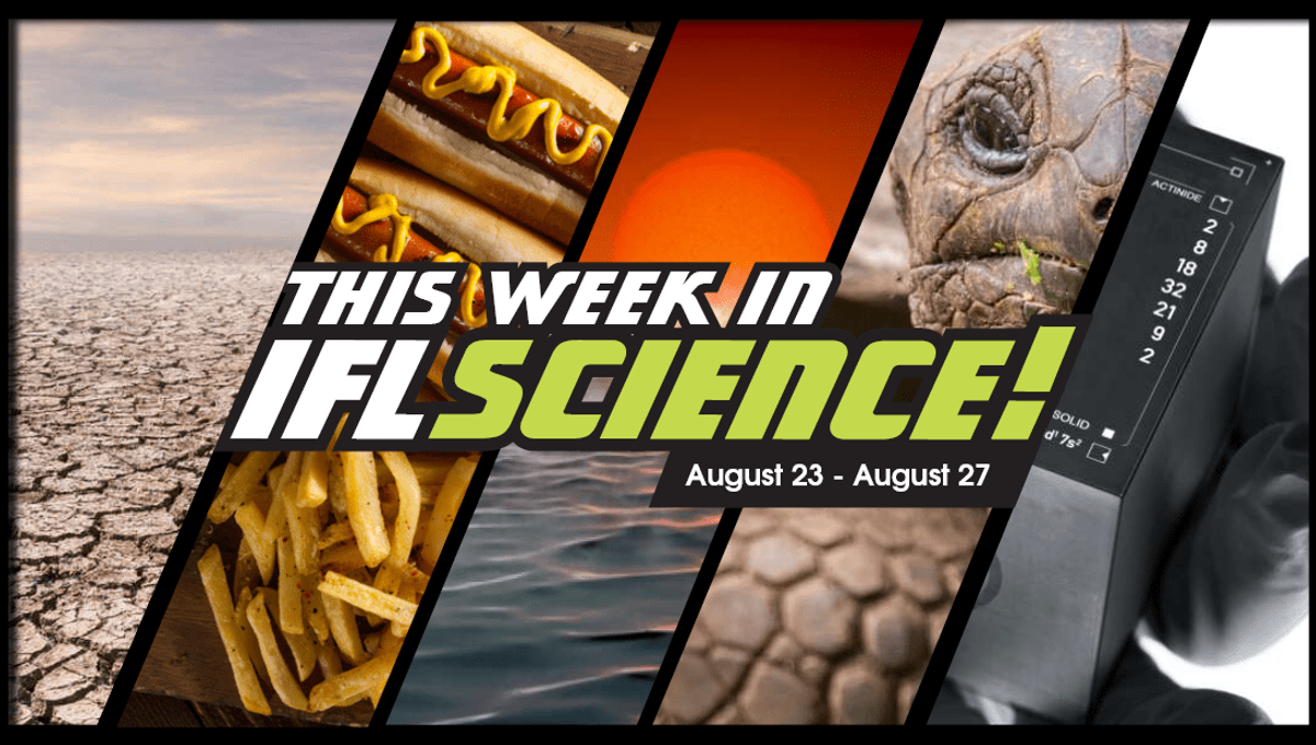This Week In Science! | IFLScience