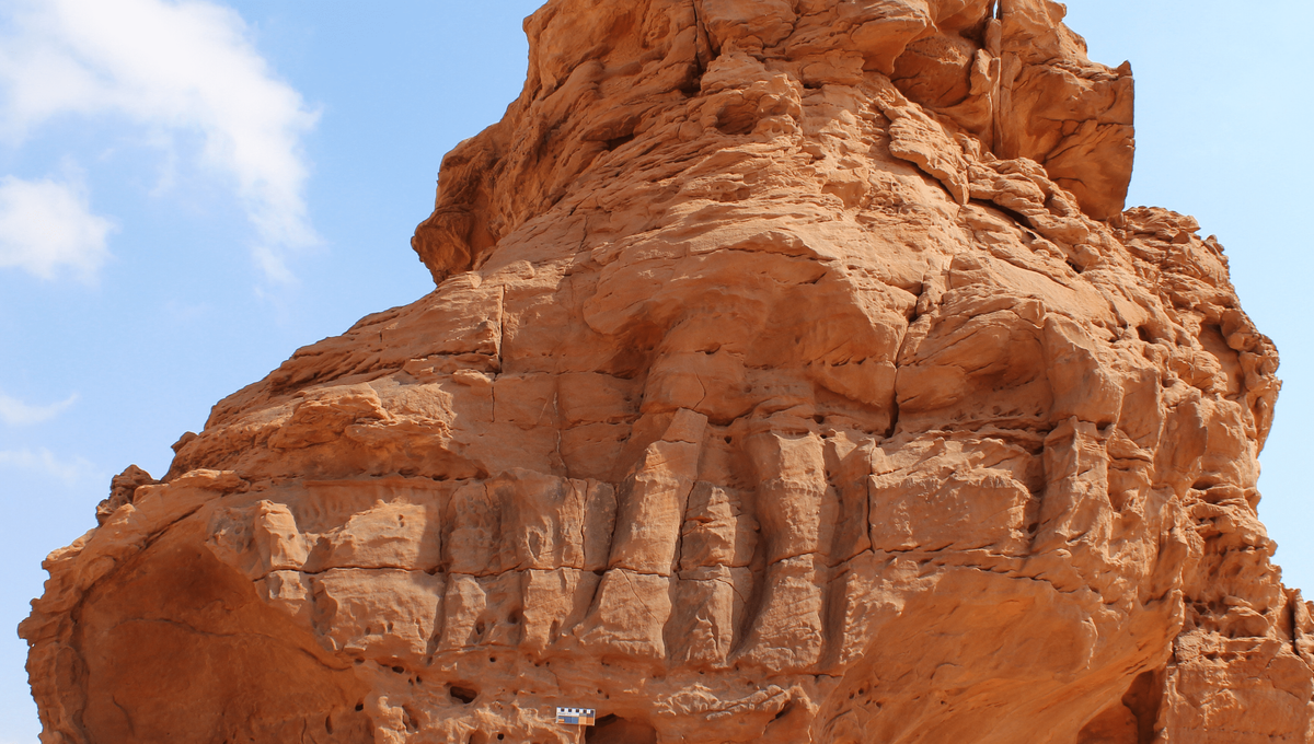 Life-Sized Saudi Arabian Camel Carvings Are 6,000 Years Older Than ...