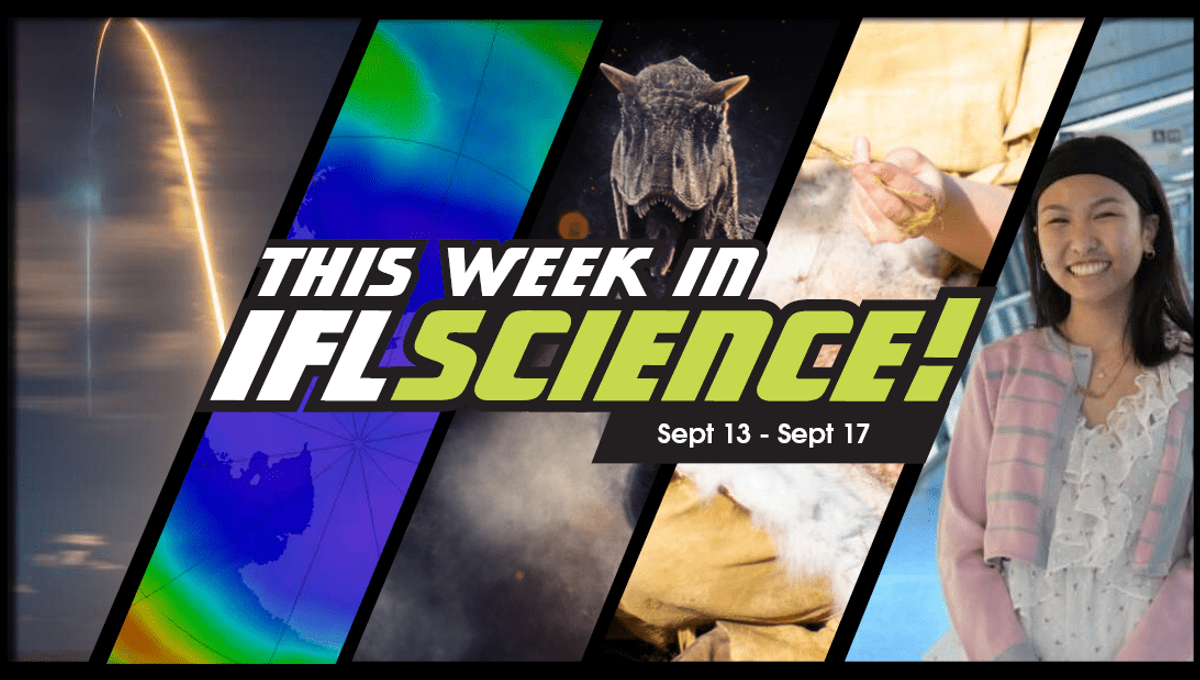 This Week In Science! | IFLScience