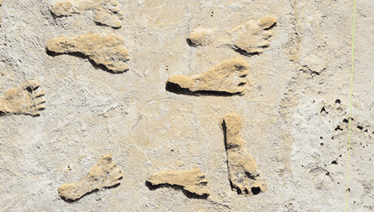 Oldest Known Human Footprints In The Americas Have Been Discovered ...
