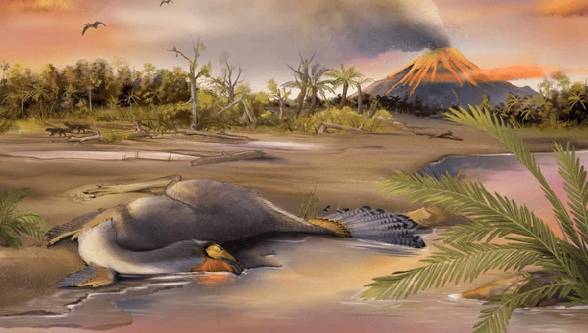 Superbly Preserved Dinosaur Cells Contain Organic Molecules And ...