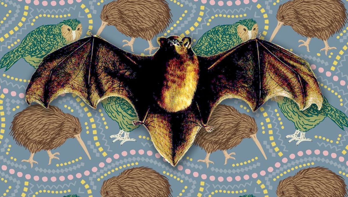 Rogue Bat Entry Gets New Zealand's Annual Bird Competition In A Flap ...