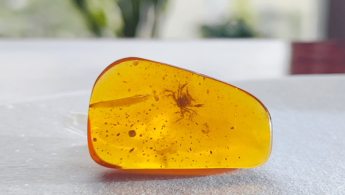 First Crab Found In Amber Still Fabulous At 100 Million Years Old ...