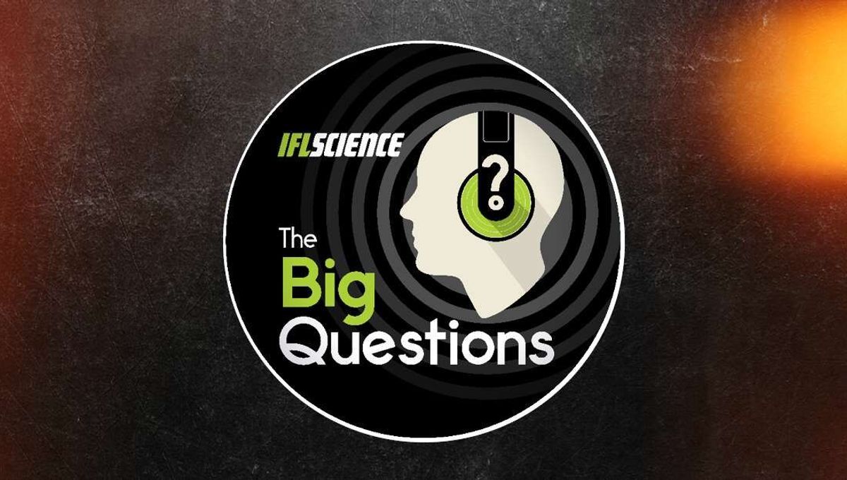 IFLScience The Big Questions: What Is The Universe Made Of? | IFLScience