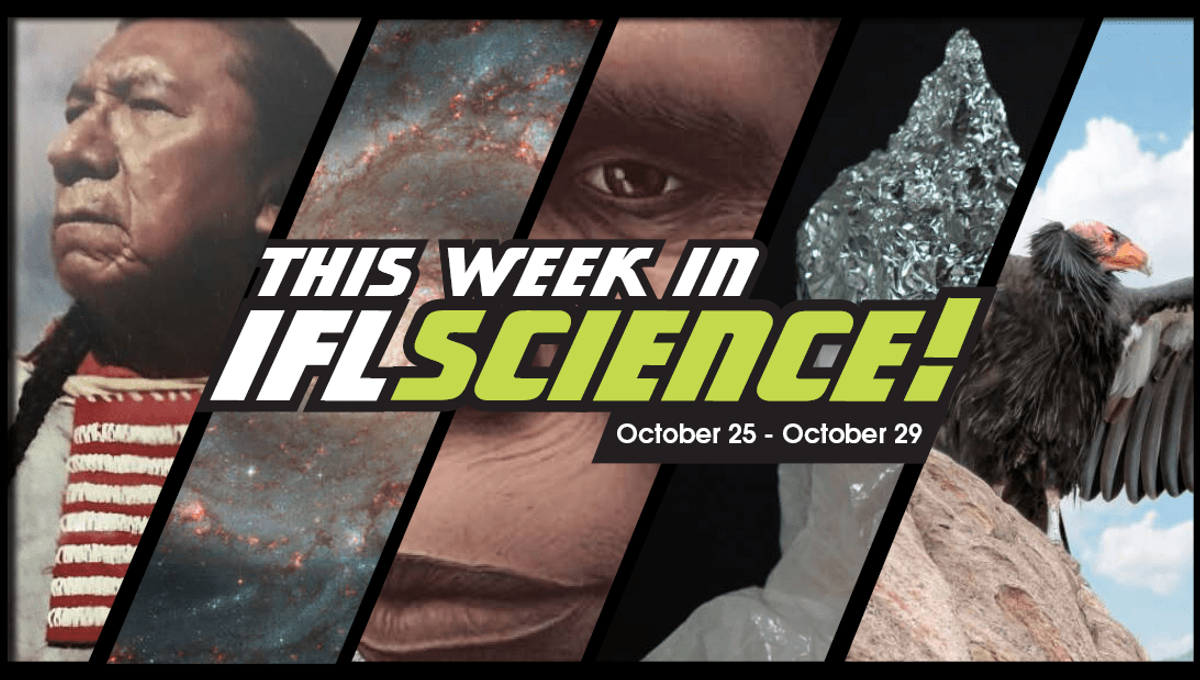 This Week In Science! | IFLScience