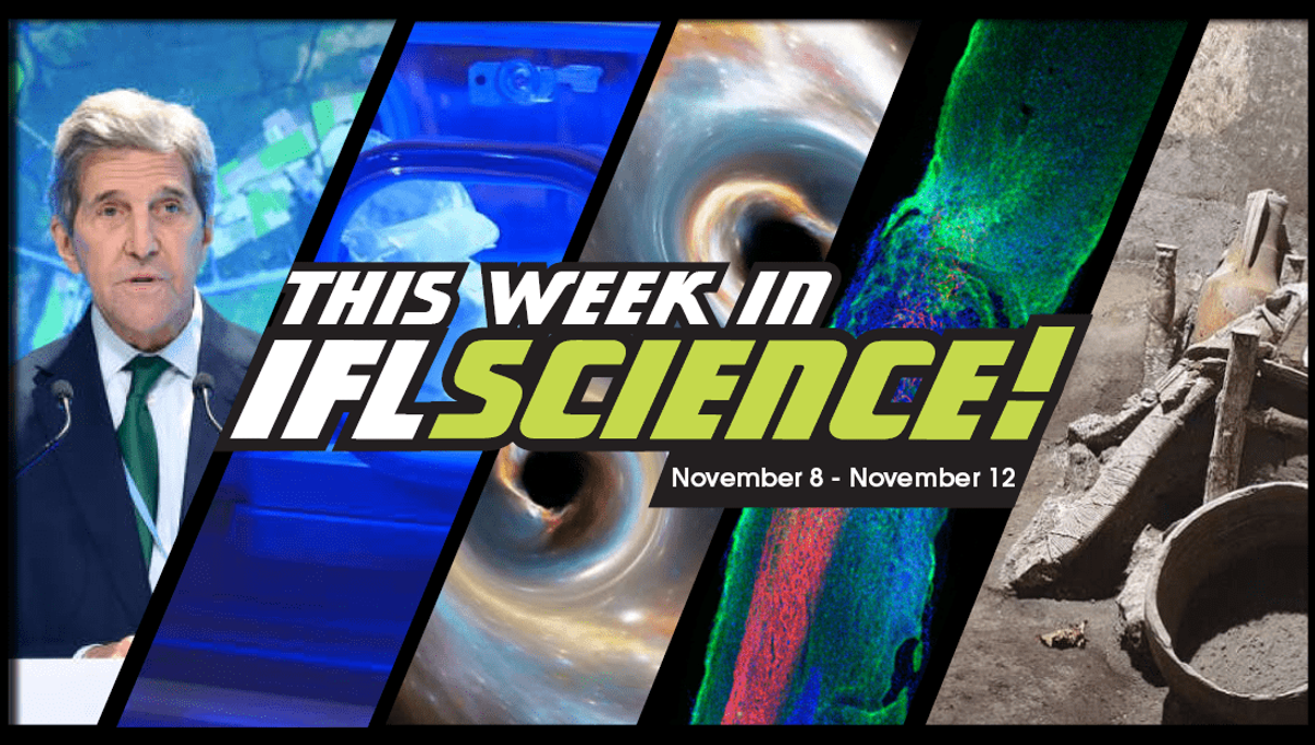 This Week In Science! | IFLScience