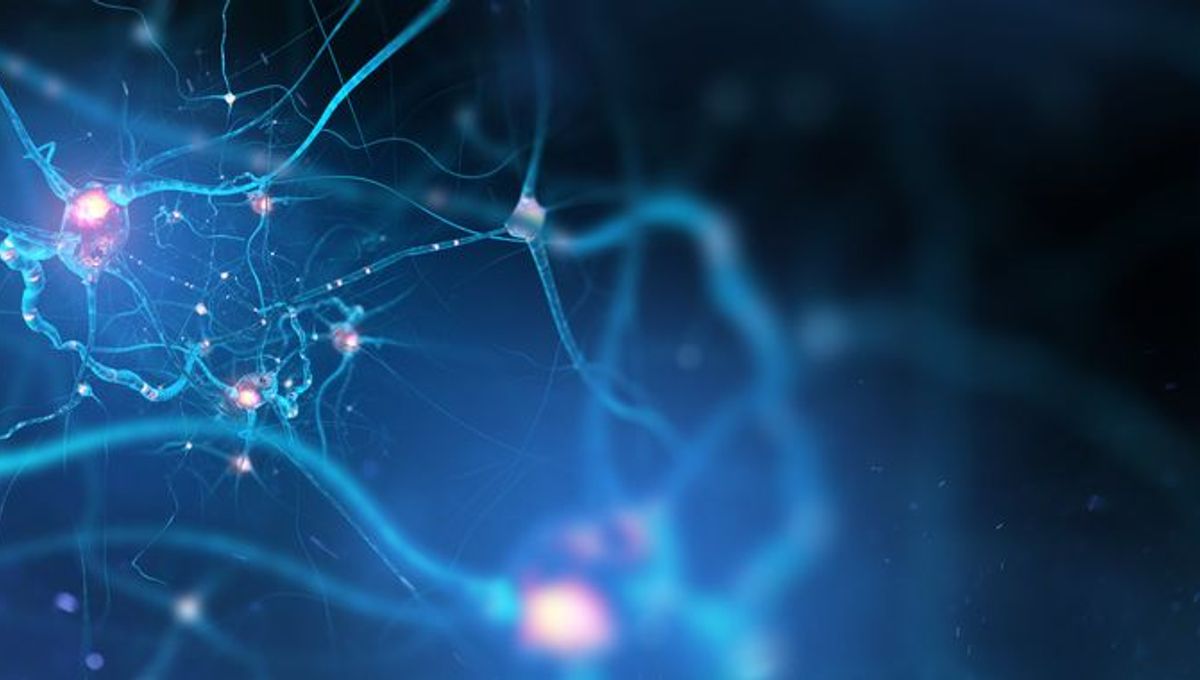 Single Dose Of Psychedelic Drug Triggers Epigenetic Changes In Mouse ...