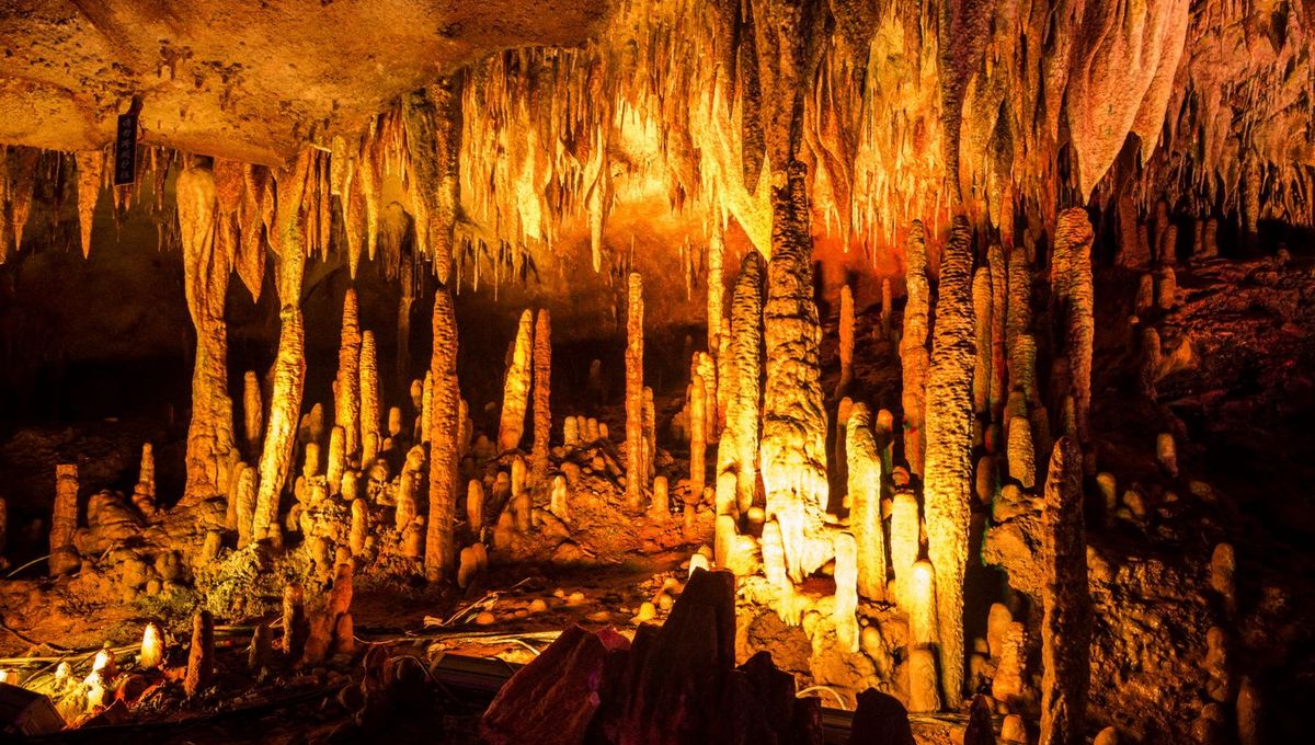 China's "Stone Age Venice" Was Destroyed By Climate Change | IFLScience