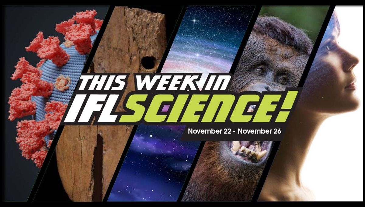 This Week In Science! | IFLScience