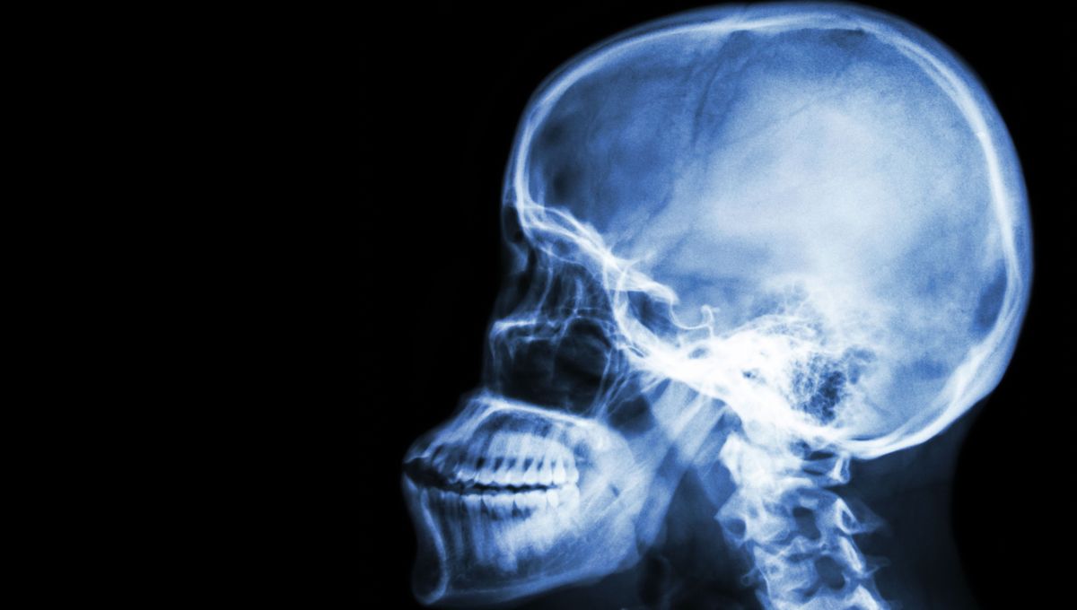 A New Part Of The Human Body Has Been Discovered | IFLScience