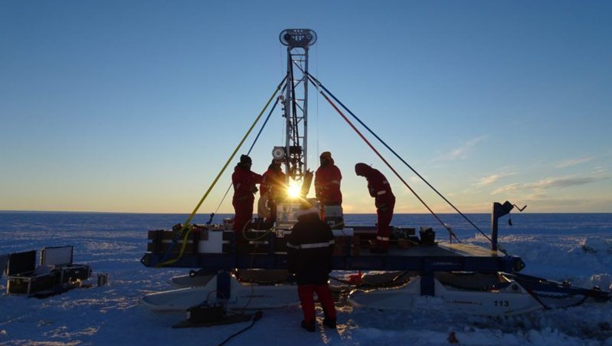 Unexpected Lifeforms Found Deep Beneath Antarctica's Ice Shelves ...