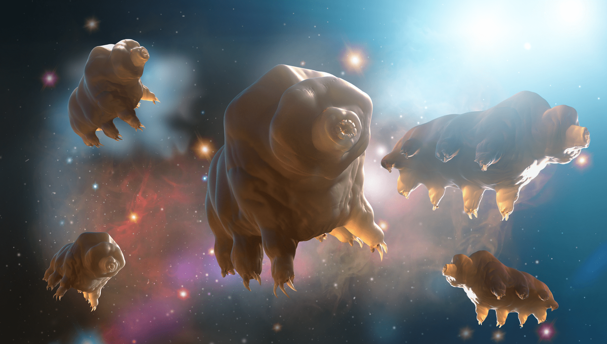 Nasa Alien Life Water Bear