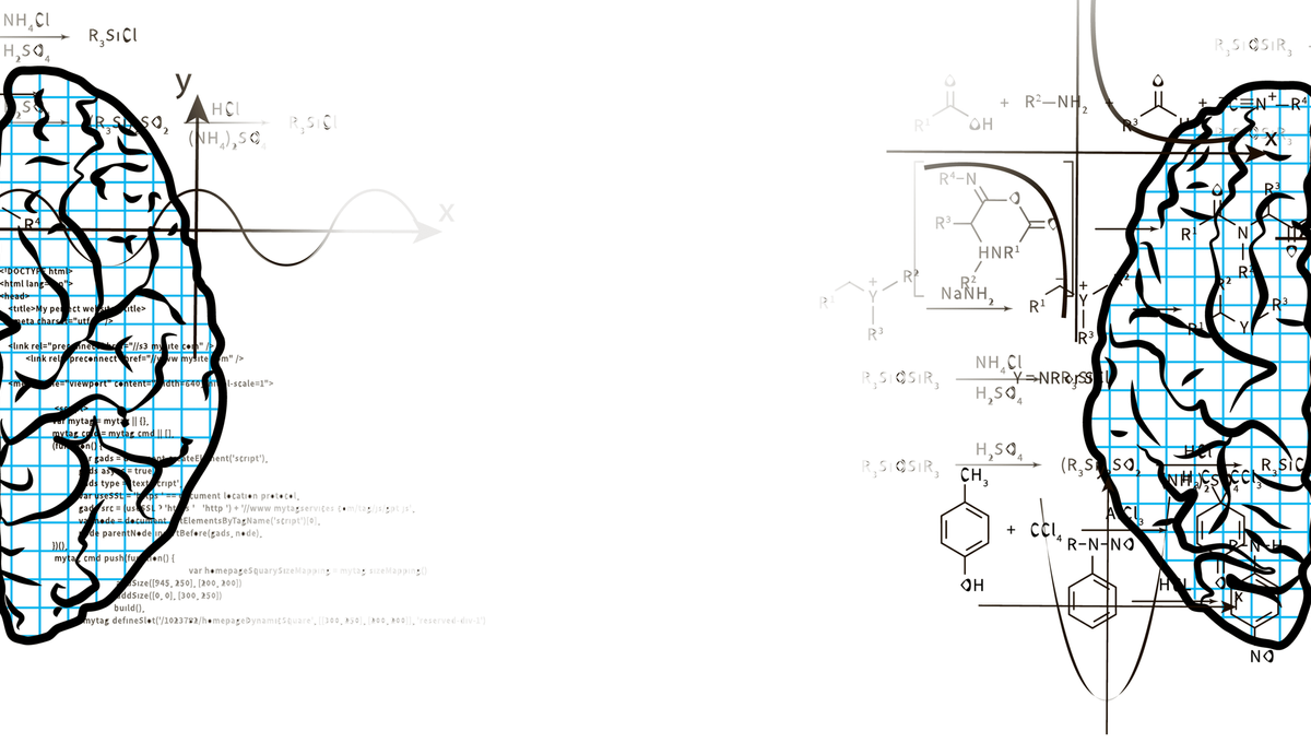 "Math Neurons" Fire Differently Depending On Whether You Add Or ...