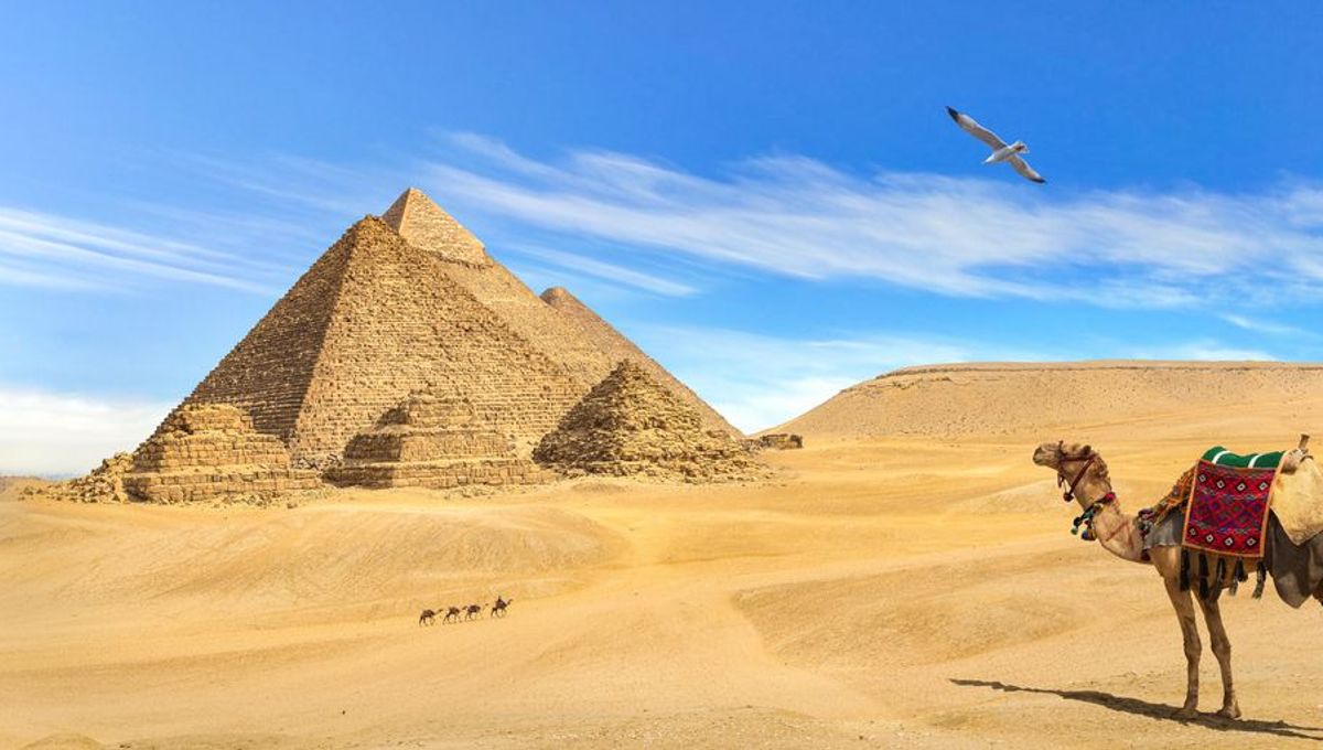 Scientists Plan New Cosmic Ray Scan Of Great Pyramid Of Giza’s Hidden ...