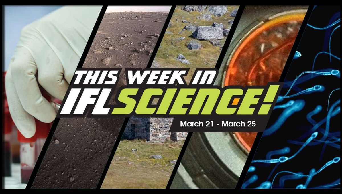 This Week In Science! | IFLScience
