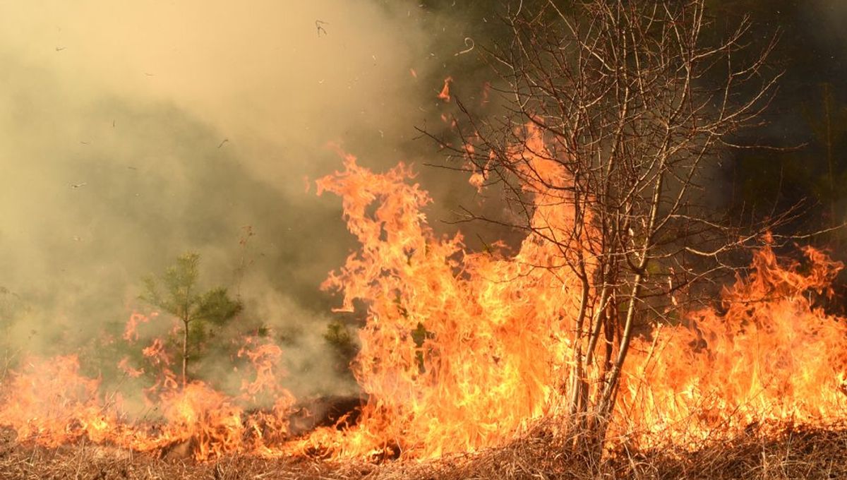 Scotland's "Anthrax Island" Ablaze With "Apocalyptic" Wildfires ...