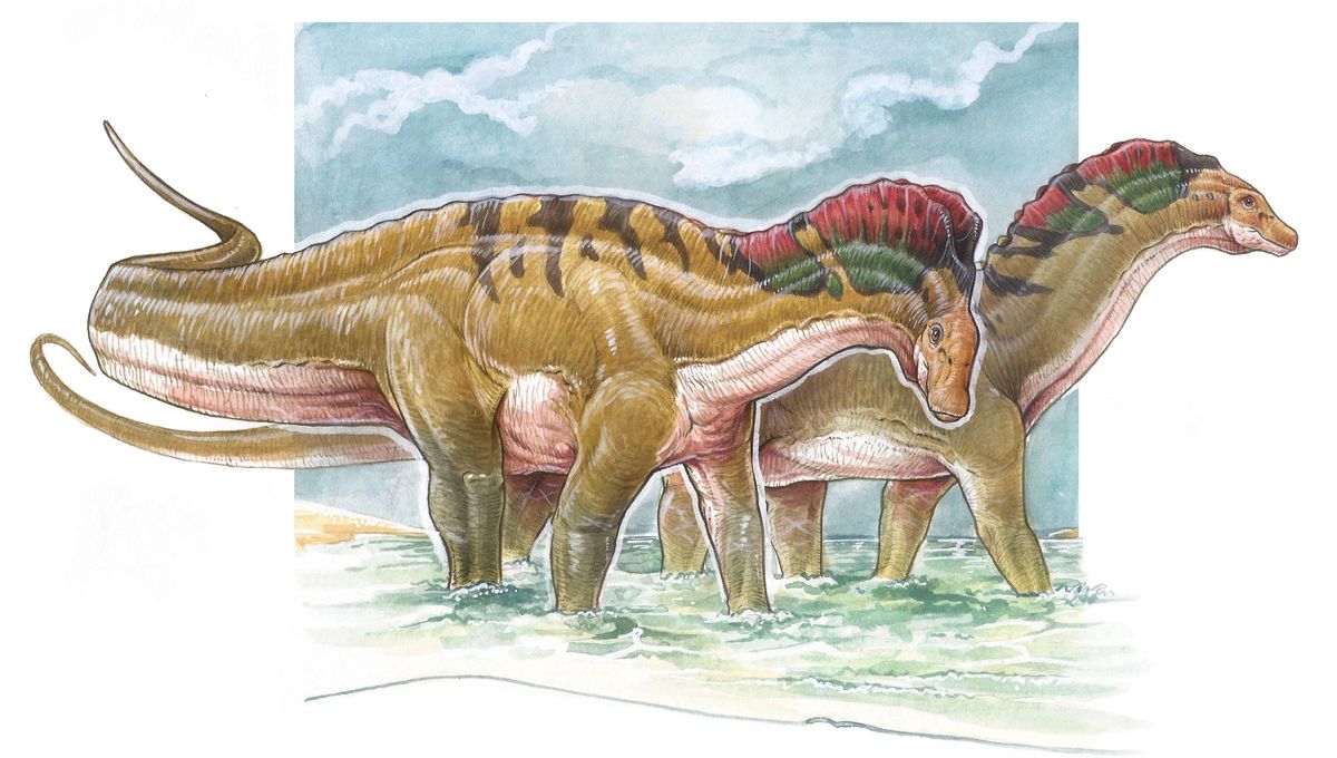 The Curious Spines On This Dinousaur’s Neck May Have Actually Been A ...