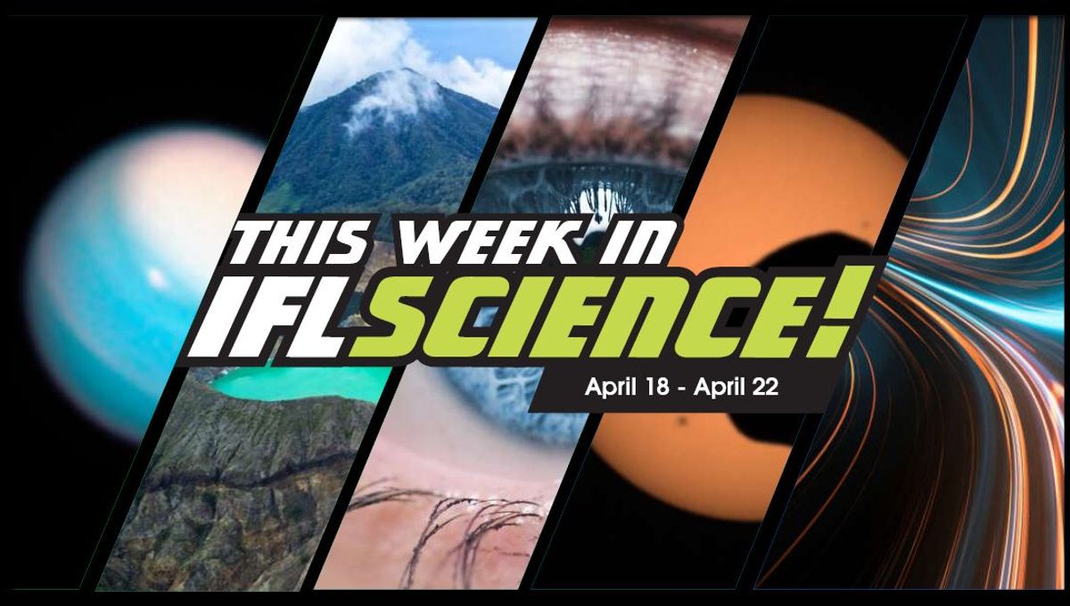 This Week In Science! | IFLScience
