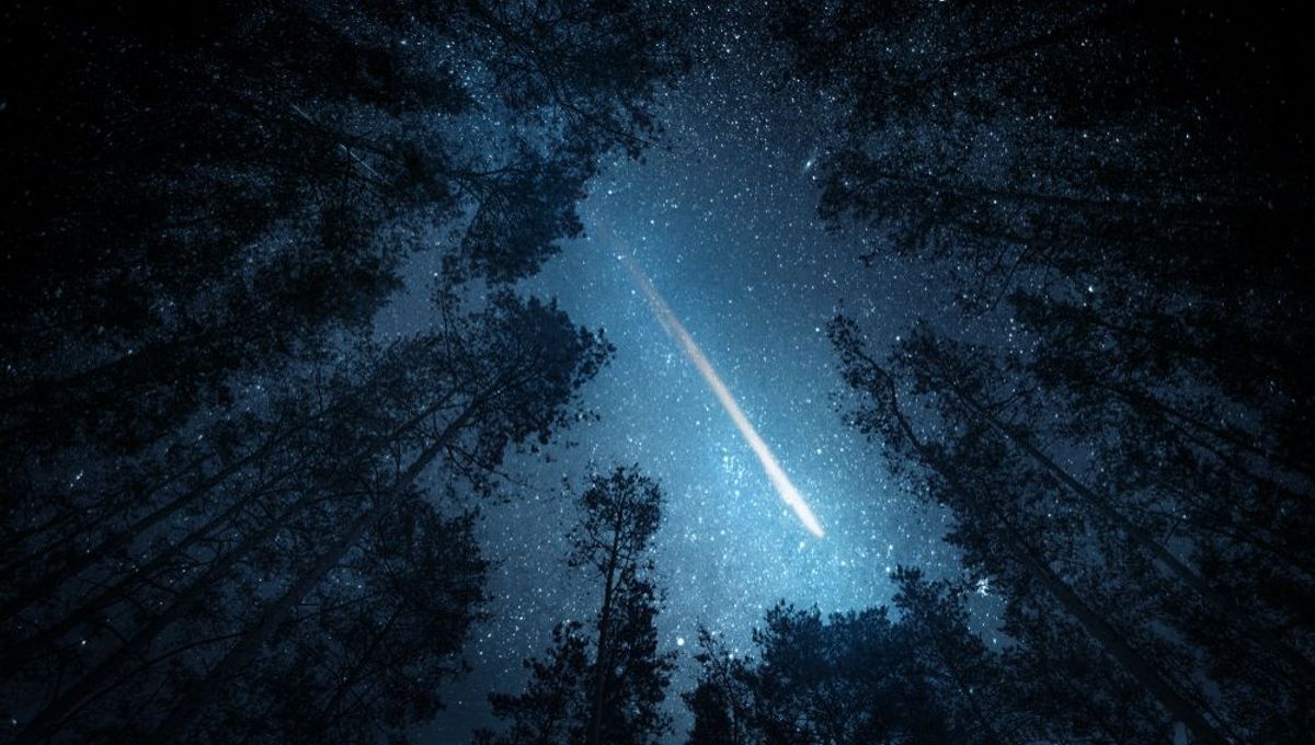 "Missing" Building Blocks Of Life On Earth Found On Meteorites | IFLScience