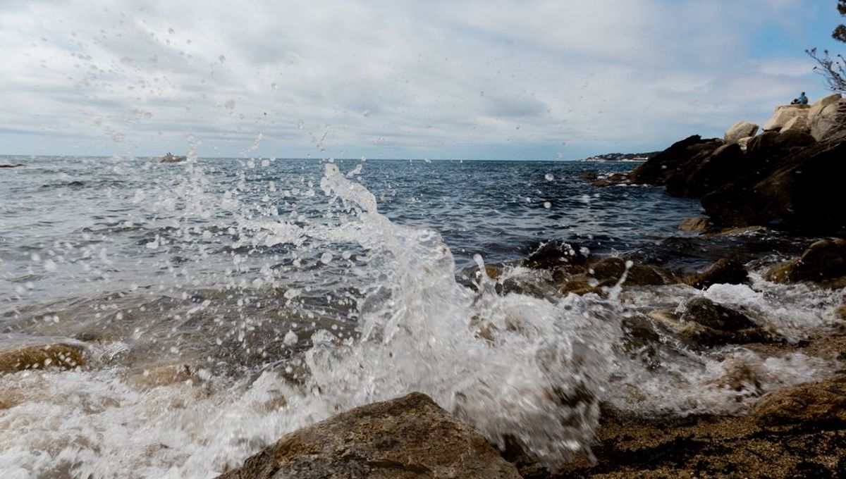Briefcase-Sized Device Turns Seawater Into Drinking Water | IFLScience
