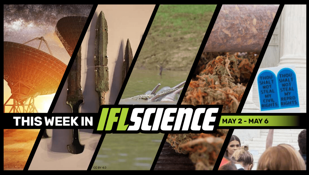This Week In Science! | IFLScience