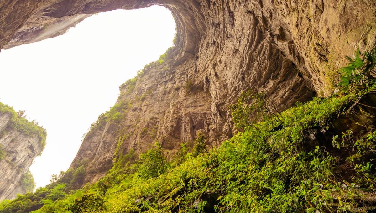 A Vast Sinkhole, Home To An "Ancient" Forest, Has Been Discovered In ...