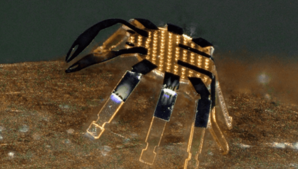 Teeny Tiny Crab Is The World's Smallest Remote-Controlled Walking Robot ...