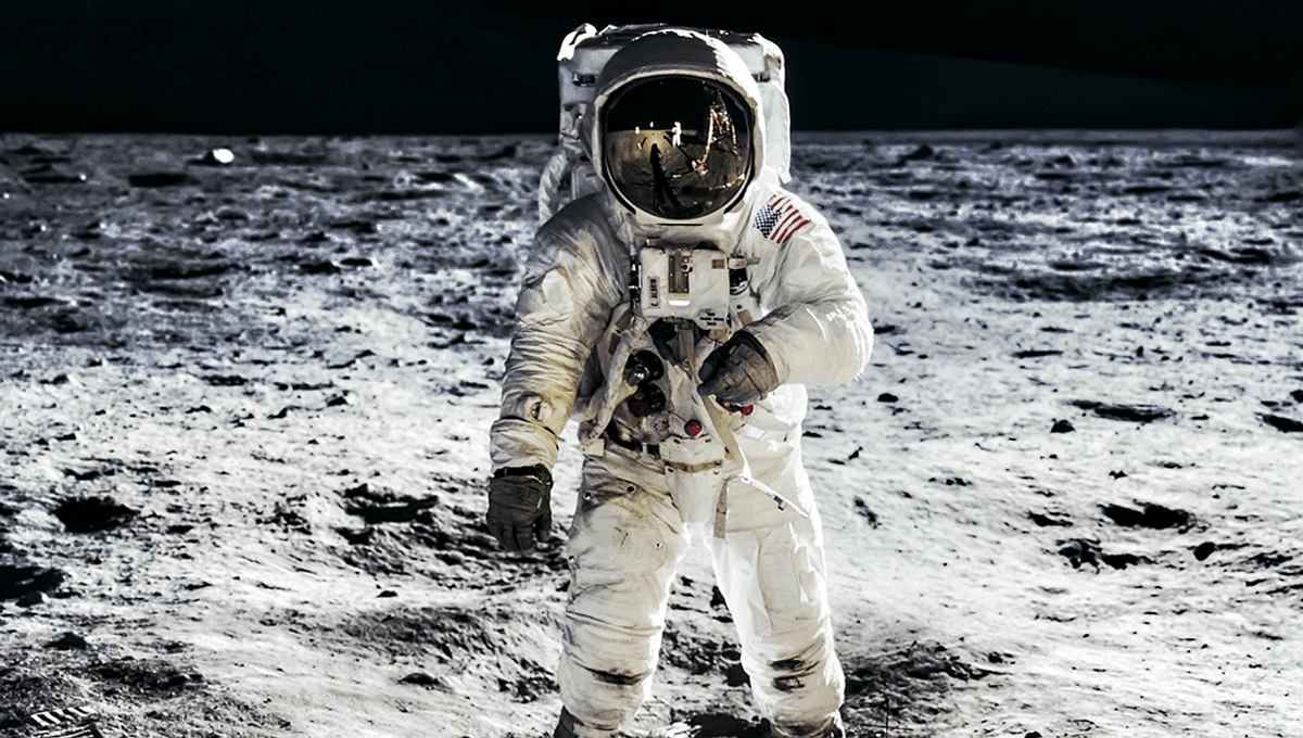 Cockroaches That Ate Moon Dust | IFLScience