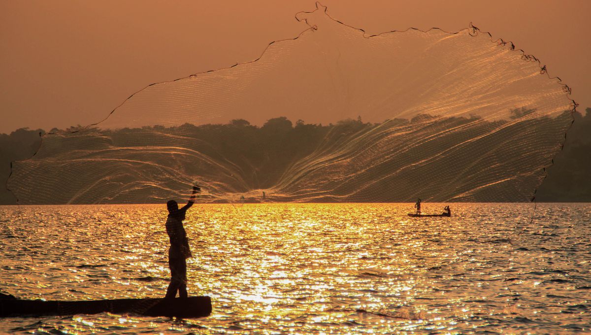 Lake Victoria Is One Of The Deadliest Lakes In The World | IFLScience