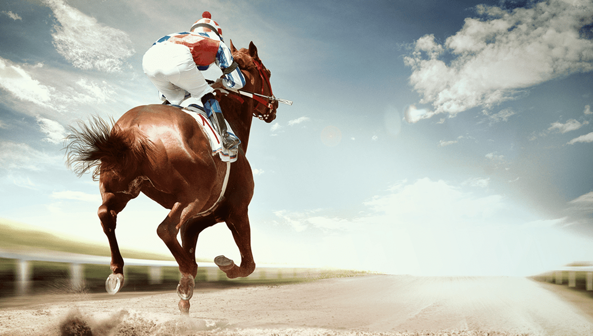 Human Wins The Man Vs Horse Race | IFLScience