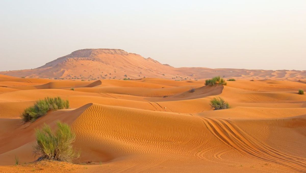 Sixth Century Arabian Drought Contributed To Islam's Rapid Rise ...