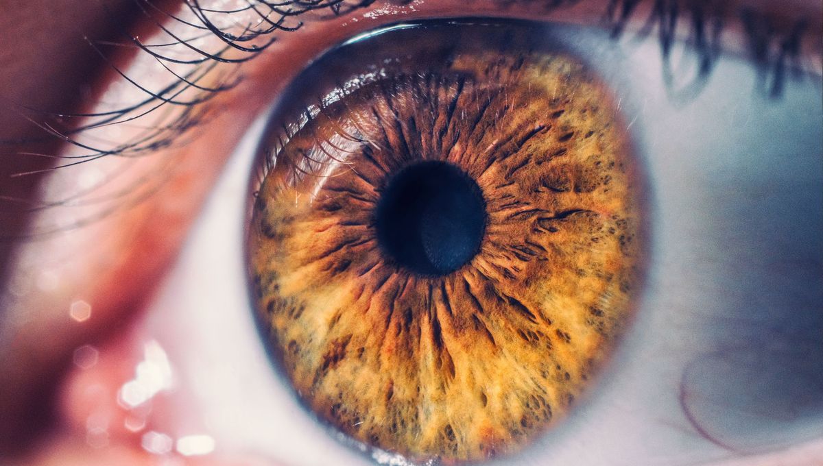 The Eyes Could Be Key To Early Diagnosis Of ADHD and ASD | IFLScience