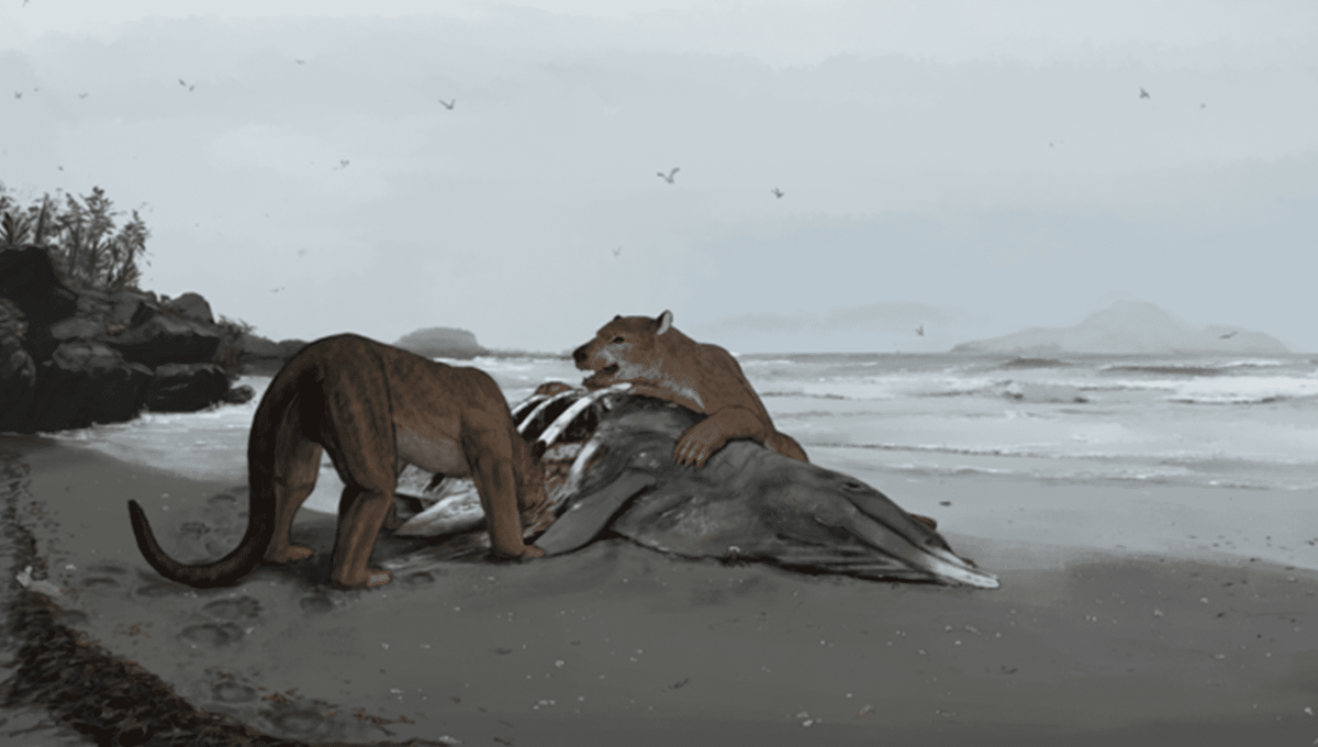 A New Group Of Ancient European-Dwelling Carnivores Named After A Human ...