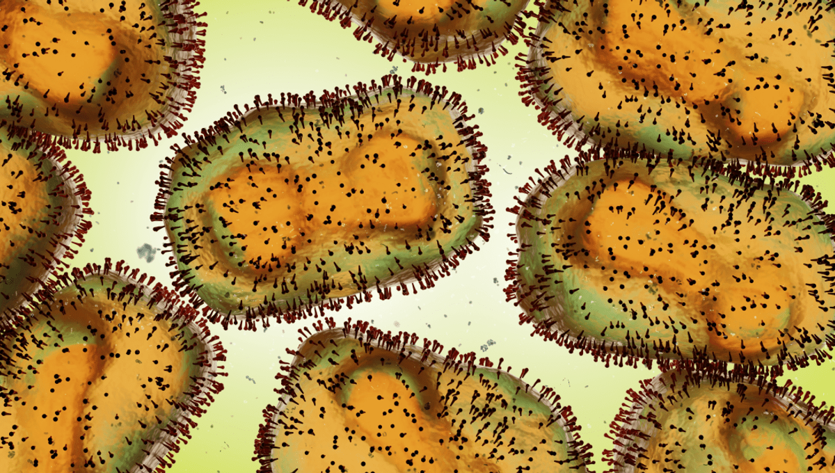 Monkeypox Review Identifies Two Symptoms That Differ From Previous ...